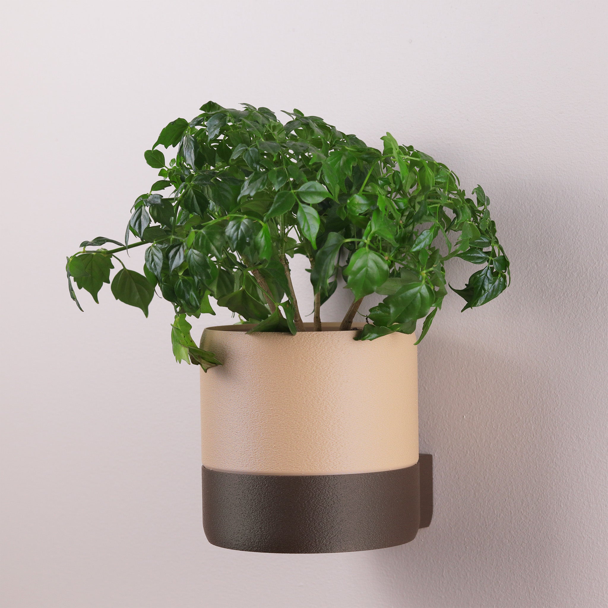 RIGO WALL Selvvandende urtepotteskjuler – elbow design